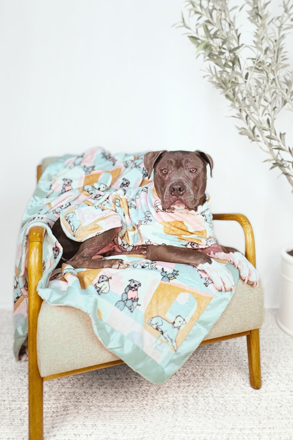 Rescue Ranch – Darren & Phillip