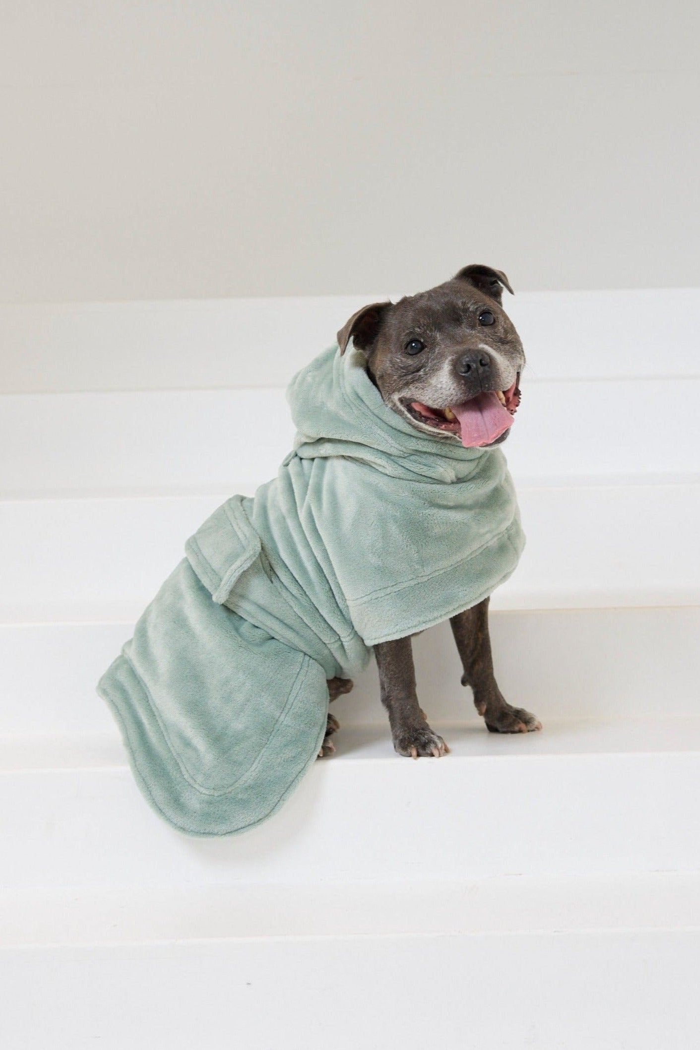 Dog Lounge Robe | Sage