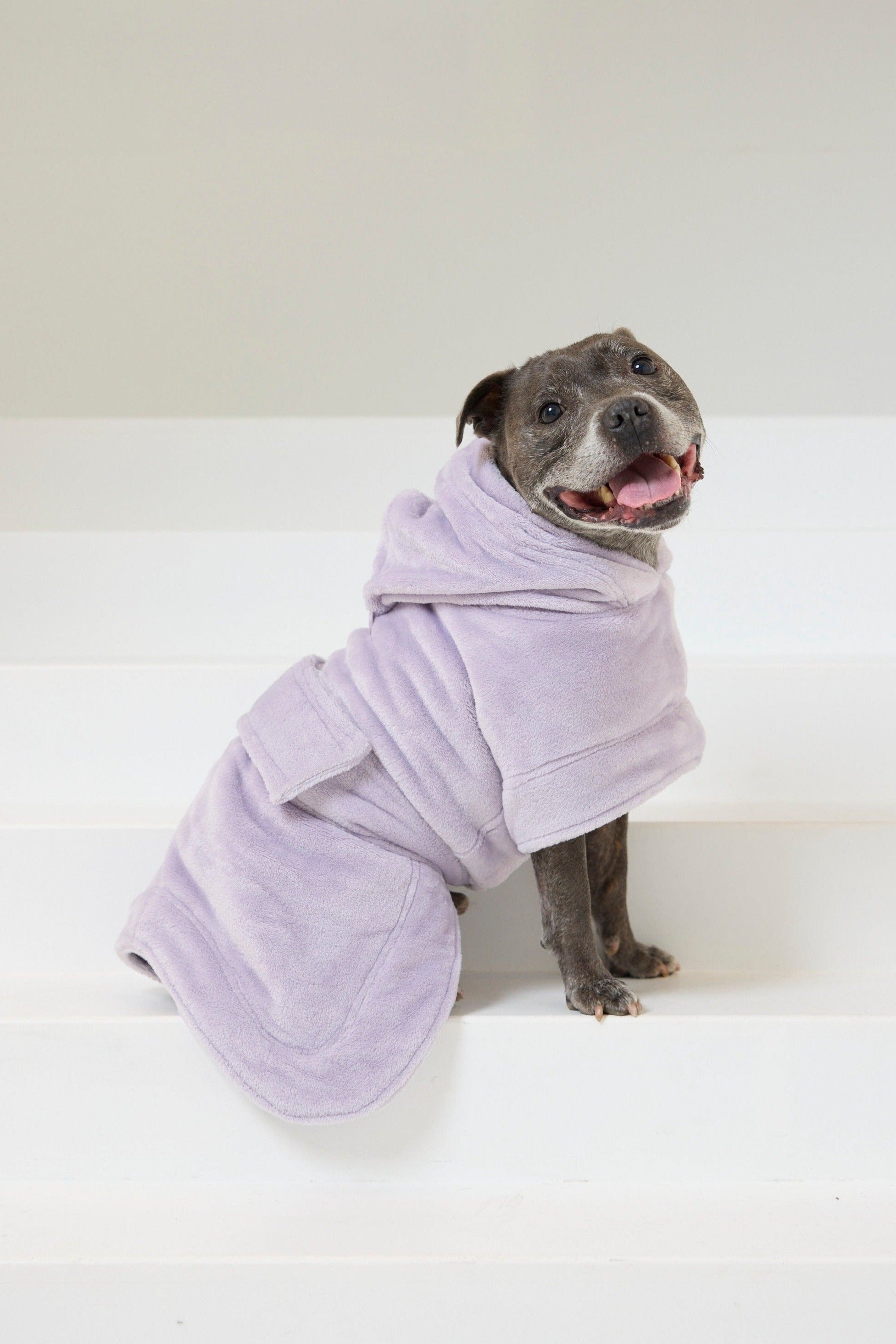 Dog Lounge Robe | Lilac